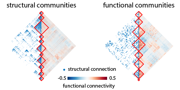 Netneurolab Research